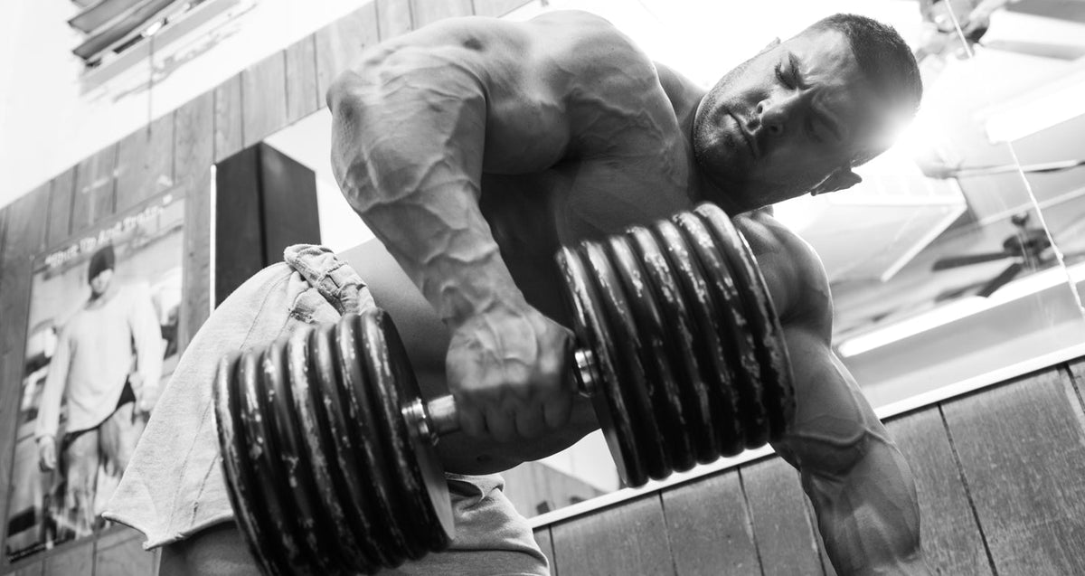 On the Map: Training Back with Evan – Animal Pak