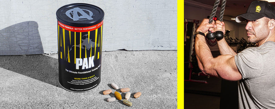 Fitness & Bodybuilding Blog – Animal Pak
