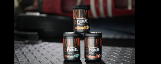 Workout Supplement Stacks for Muscle Building & Recovery – Animal Pak