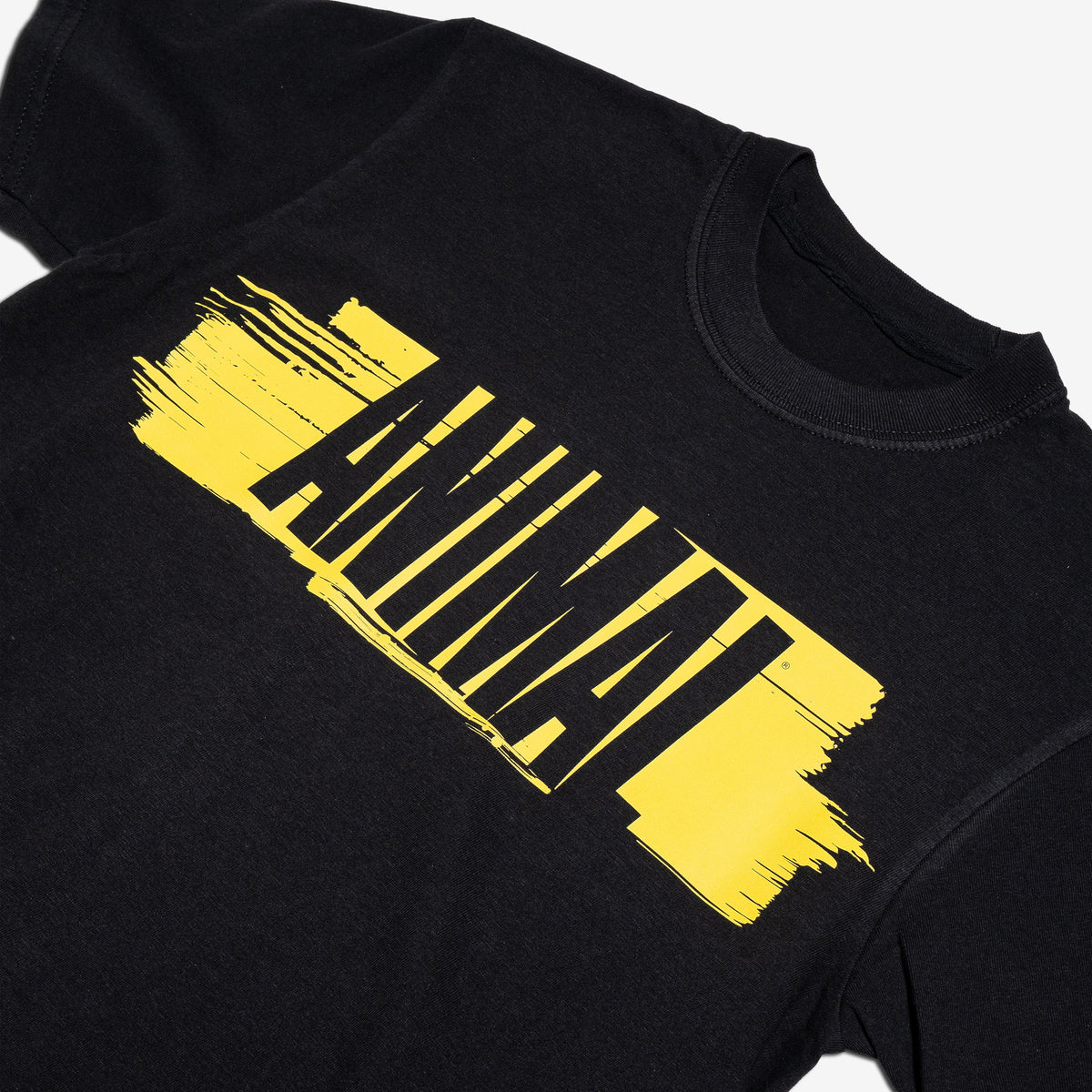 Reveal Tee & Animal Pak