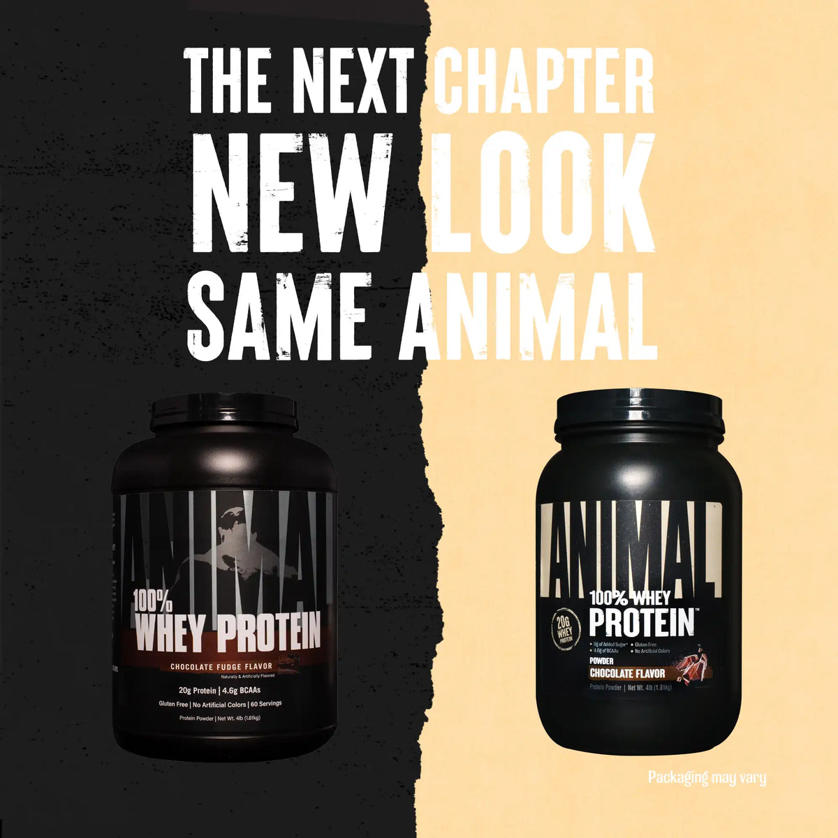 Animal 100% Whey Protein Isolate Powder: Protein Supplements – Animal Pak
