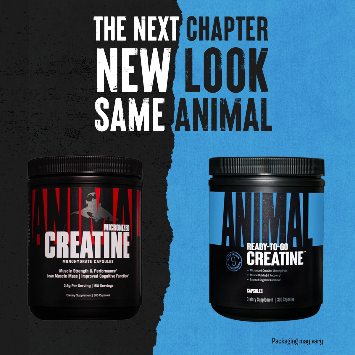 Animal Micronized Creatine Capsules: Pure Creatine Monohydrate – Animal Pak