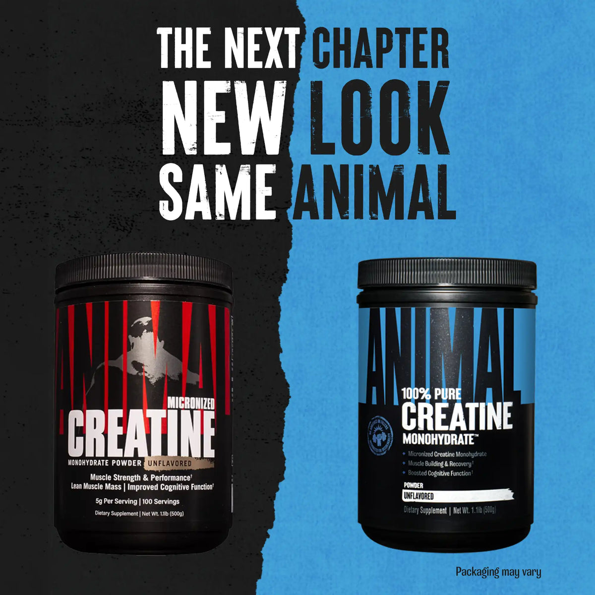 Animal Micronized Creatine Powder: Pure Creatine Monohydrate – Animal Pak