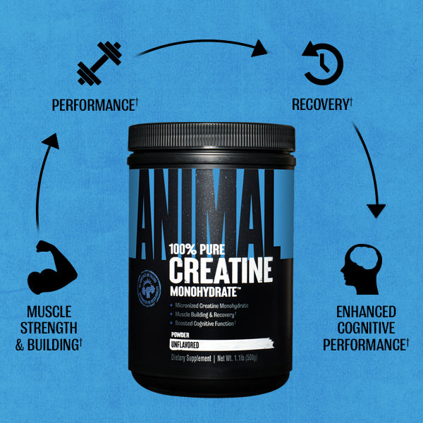 Animal Micronized Creatine Powder: Pure Creatine Monohydrate – Animal Pak