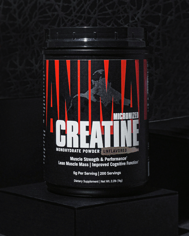 Animal Micronized Creatine Powder: Pure Creatine Monohydrate – Animal Pak