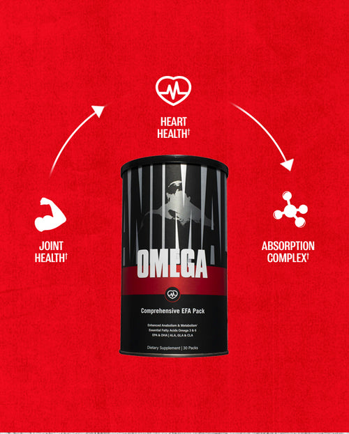 Animal Omega: Essential EFA Omega 3 & 6 Supplement Stack – Animal Pak