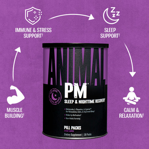 Animal PM Nighttime Anabolic: Muscle Recovery Supplements – Animal Pak