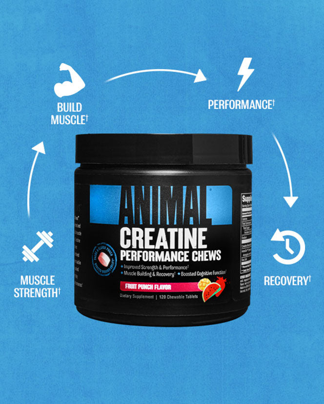 Animal Creatine Chews: Chewable Creatine Tablets – Animal Pak