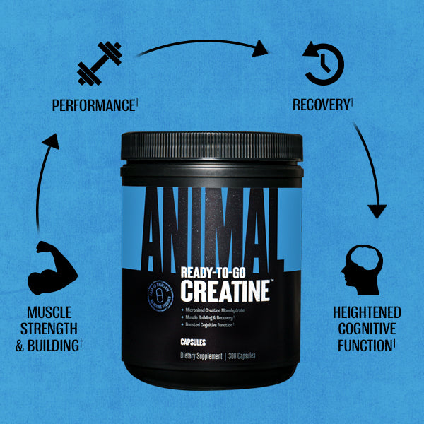 Animal Micronized Creatine Capsules: Pure Creatine Monohydrate – Animal Pak
