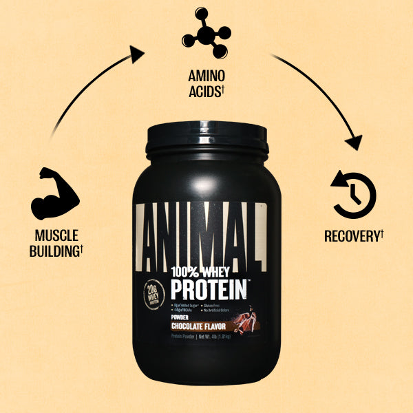 Animal 100% Whey Protein Isolate Powder: Protein Supplements – Animal Pak