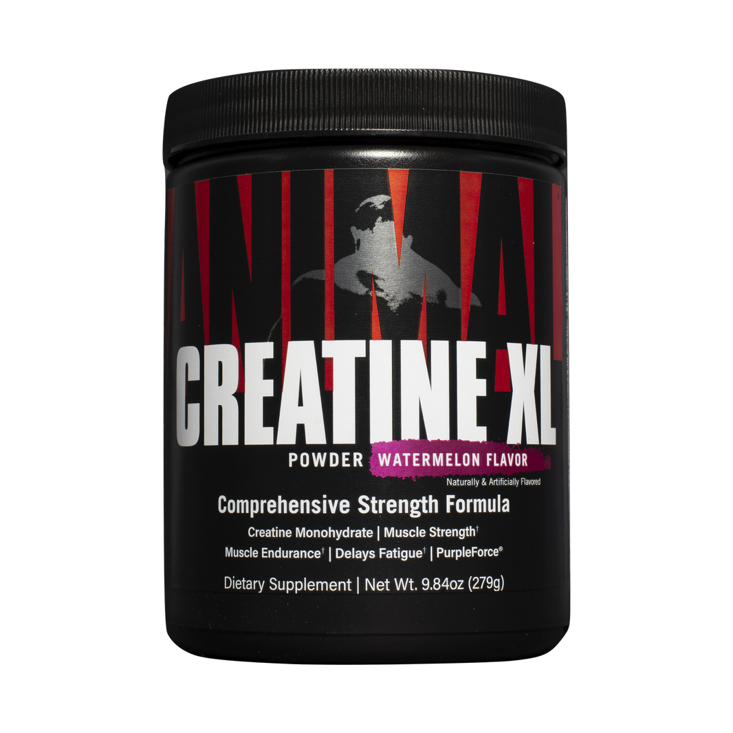 The Benefits of Creatine and the Newest Research – Animal Pak